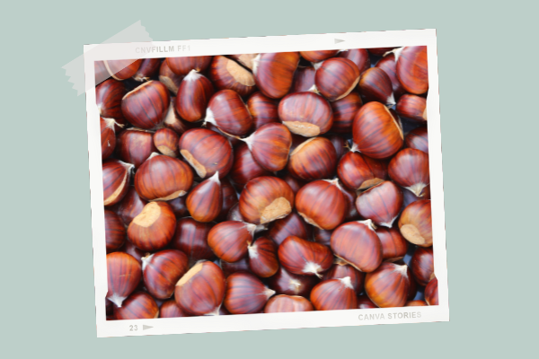 Chestnuts « Cooking Baby Food